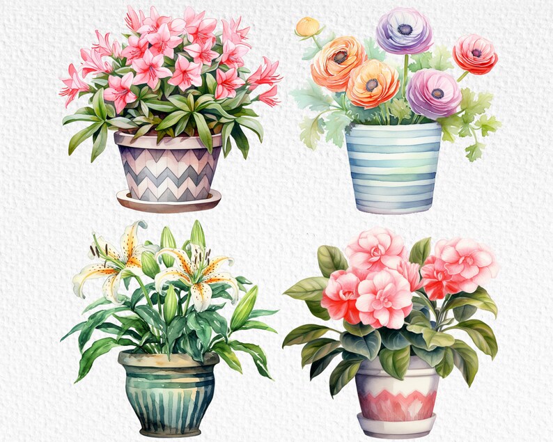 Cute Flower Pots Watercolour Clipart, 20 Transparent PNG 300 Dpi ...
