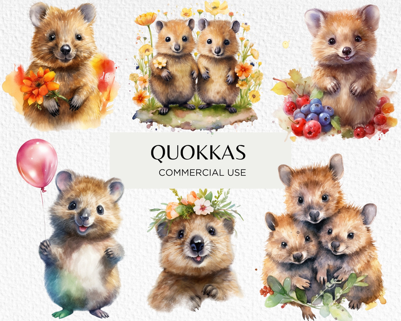 Watercolour Quokka Clipart Bundle, 18 Transparent Isolated PNG 300 Dpi ...