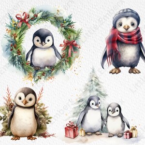 Penguin Watercolour Clipart, 20 Transparent PNG 300 Dpi, Cute Baby ...