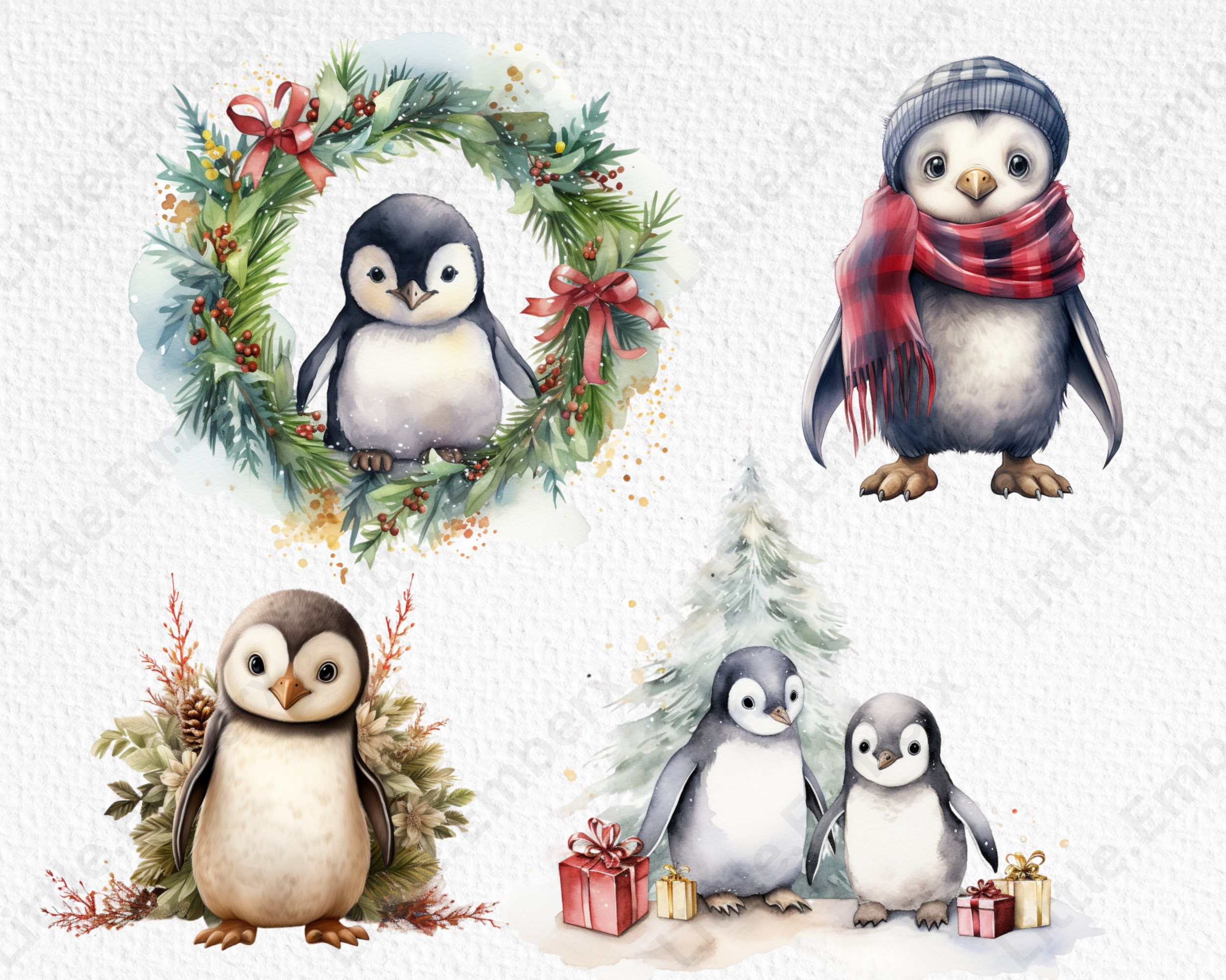 Penguin Watercolour Clipart 20 Transparent PNG 300 Dpi Cute - Etsy