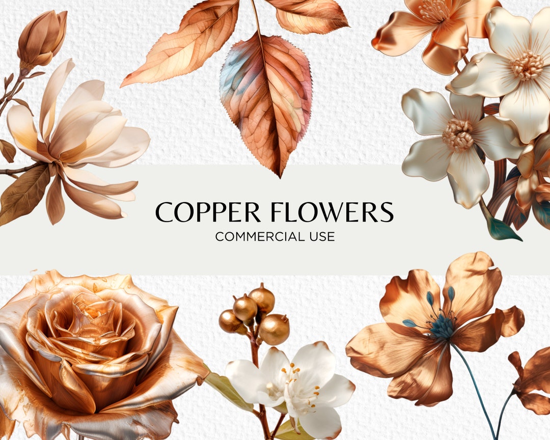 Copper Flowers Watercolour Clipart Bundle, 18 Transparent PNG Images ...