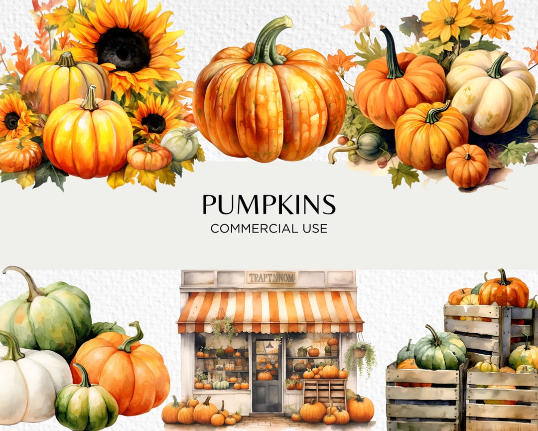 Pumpkins Watercolour Clipart Bundle, 16 Transparent PNG 300 Dpi, Fall ...