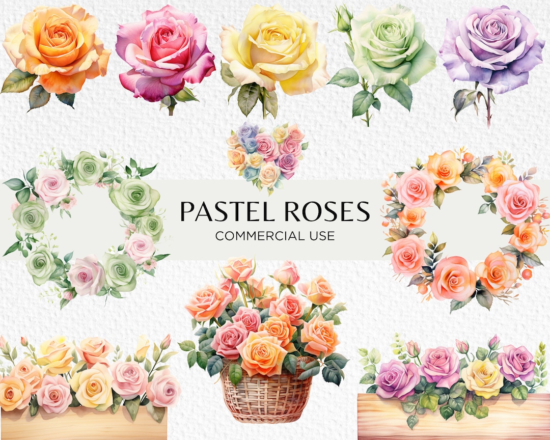 Pastel Roses Watercolour Clipart, 20 Transparent PNG 300 Dpi, Pastel ...