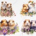 Watercolour Guinea Pigs Clipart Bundle, 24 Transparent PNG 300 Dpi ...