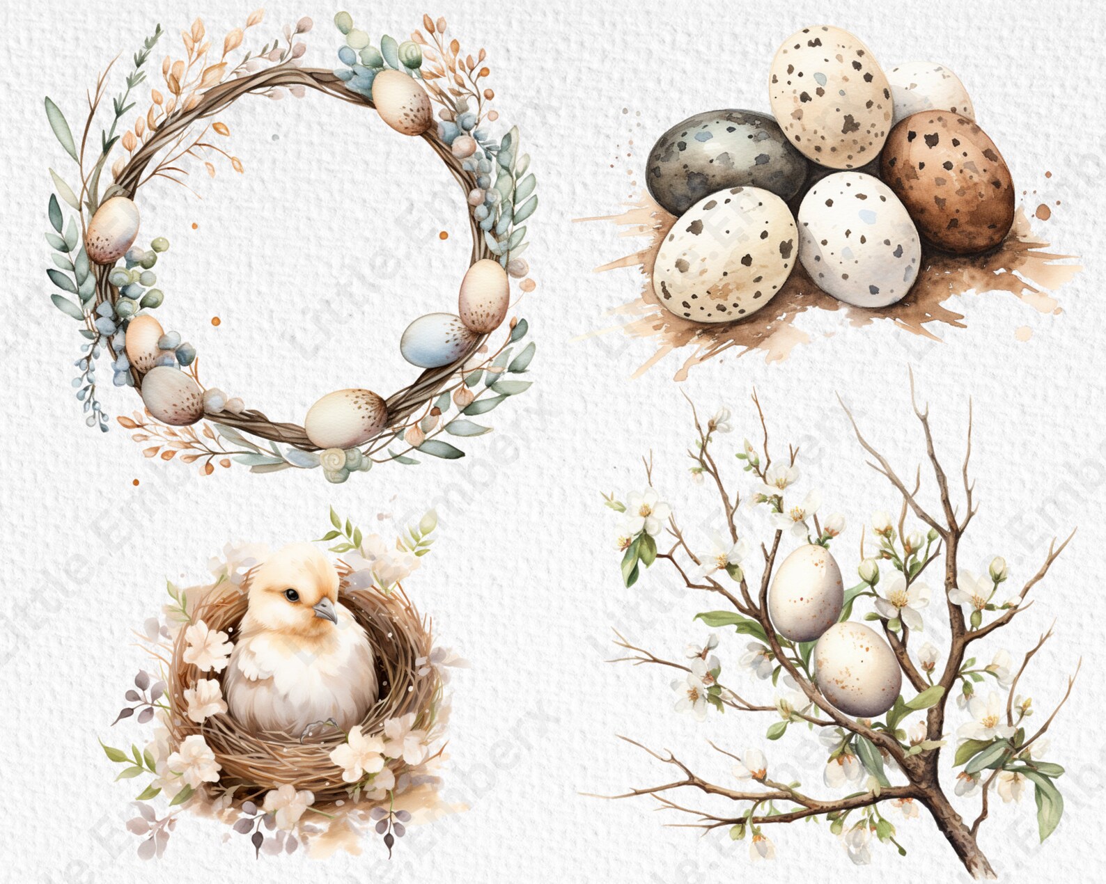 Boho Easter Watercolour Clipart, 20 Transparent PNG 300 Dpi, Rustic ...