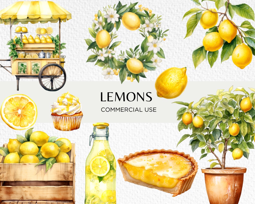 Lemons Watercolour Clipart Bundle, 20 Transparent PNG 300 Dpi, Cute ...