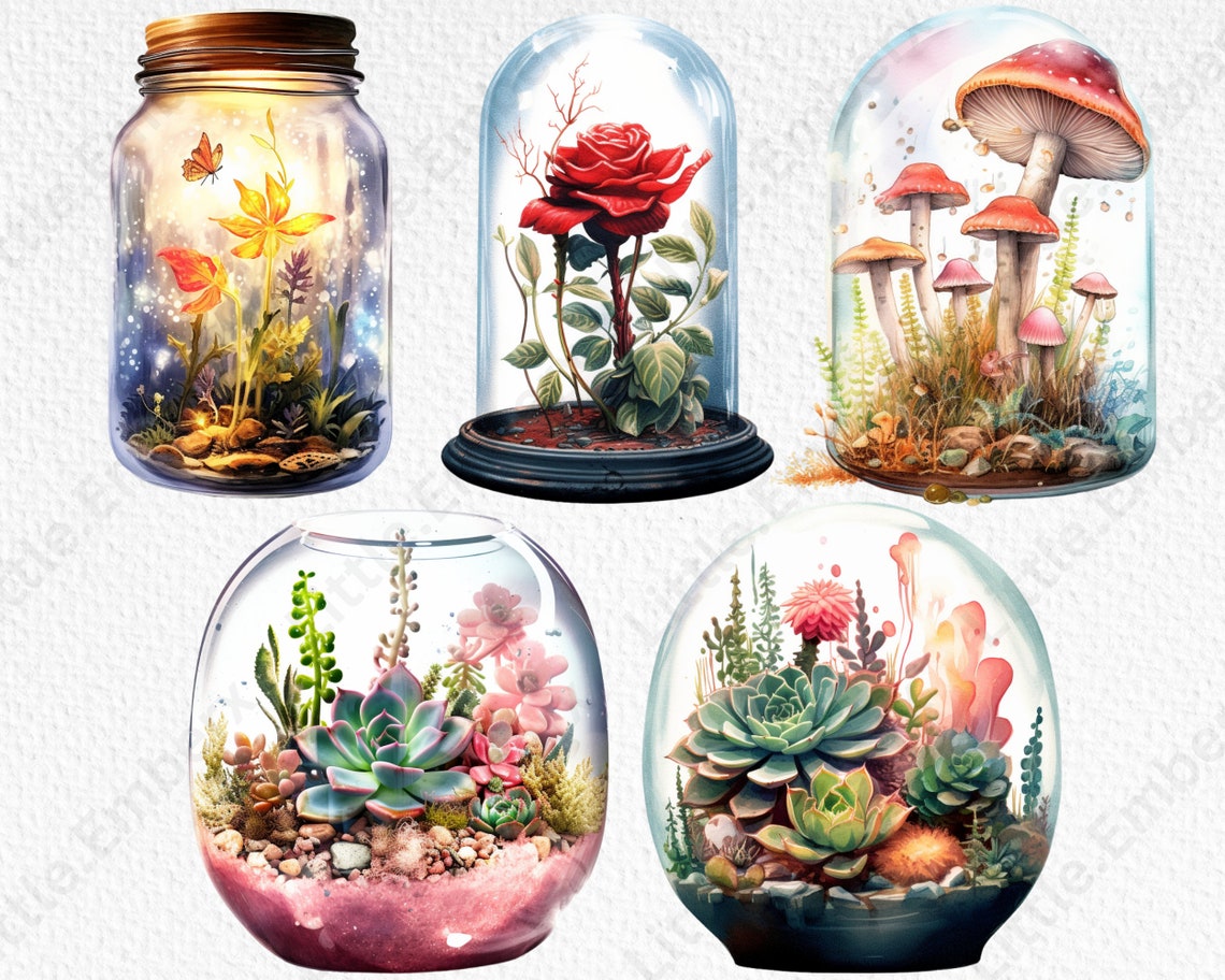 Watercolour Terrariums Clipart Bundle, 20 Transparent PNG 300 Dpi ...