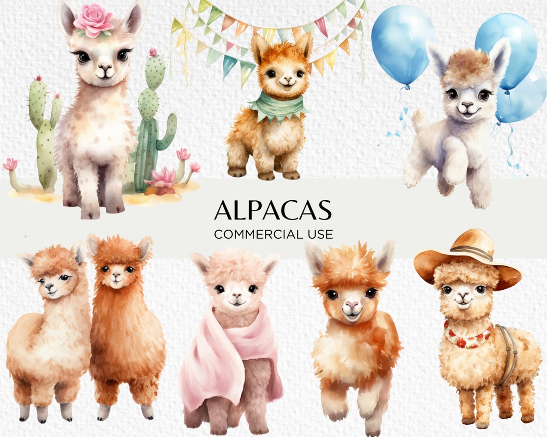 Alpacas Watercolour Clipart Bundle, 20 Transparent PNG 300 Dpi, Cute ...