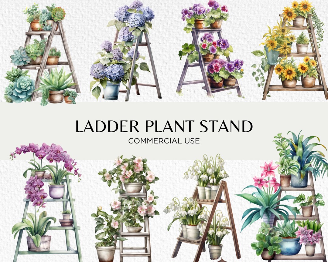 Ladder Plant Stand Watercolour Clipart Bundle, 15 Transparent PNG 300 ...