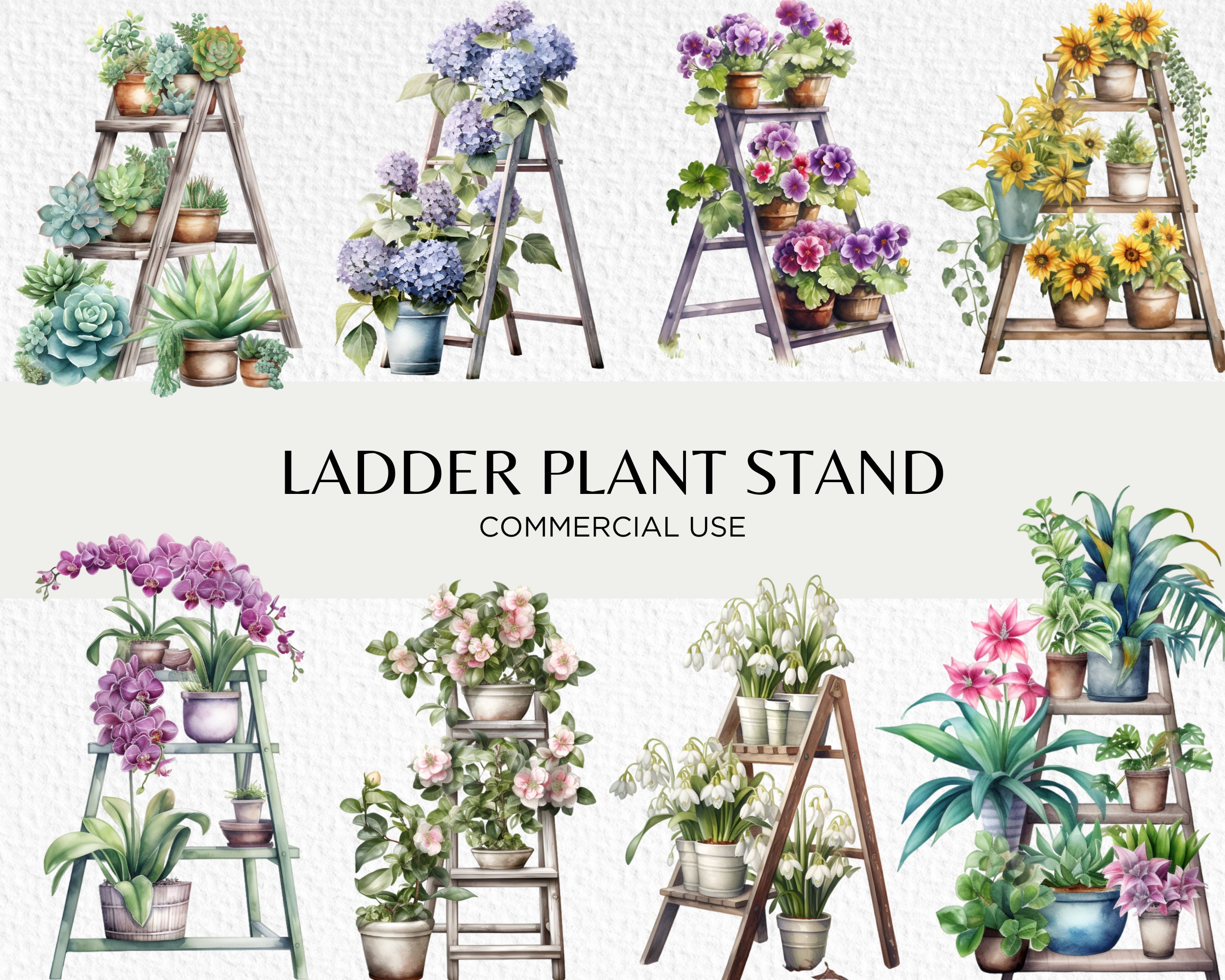 Ladder Plant Stand Watercolour Clipart Bundle 15 Transparent - Etsy