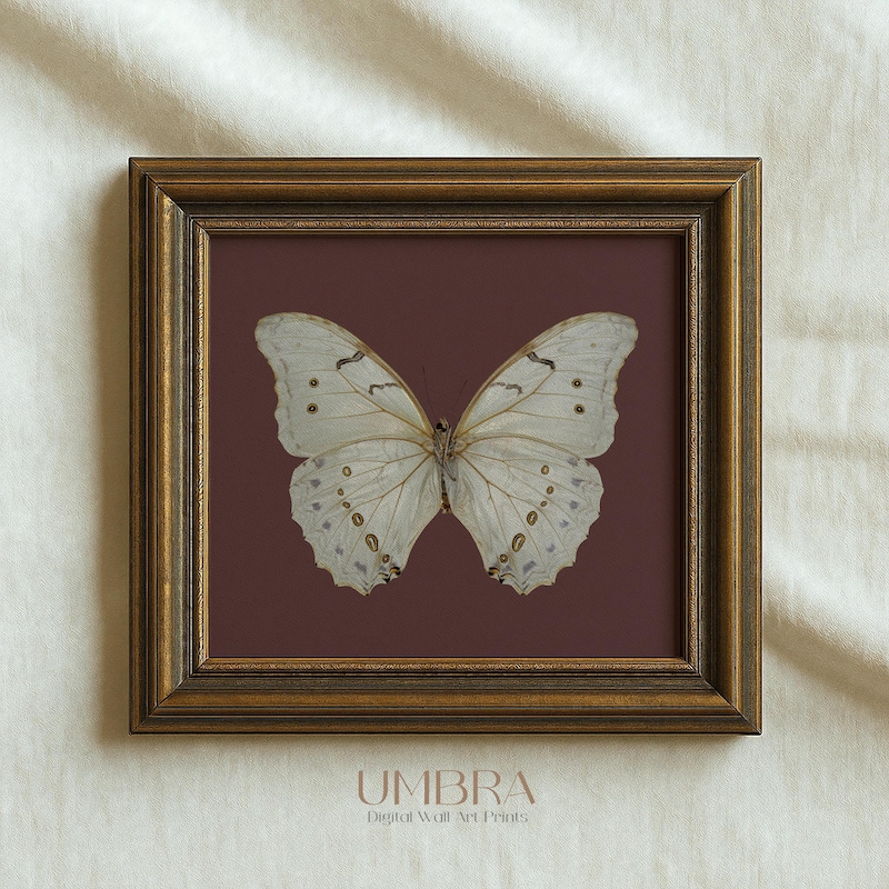 Butterfly Poster - Etsy