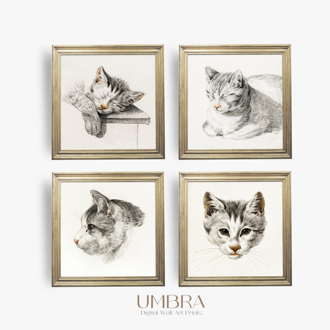 Vintage Cat Pencil Drawing Prints: Set of 4 (digital Download) - Etsy