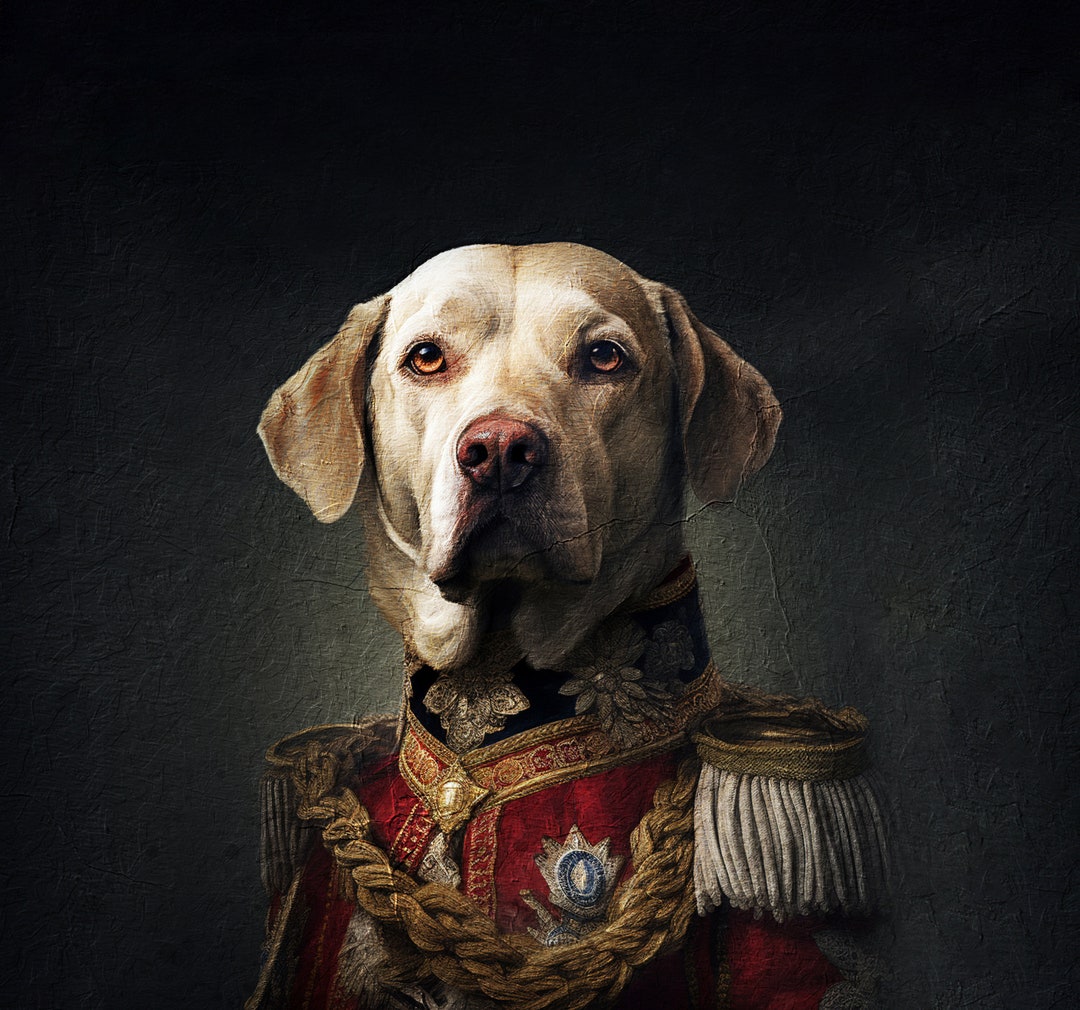 Pet Portrait Custom Admiral King Dog Pet Portrait Photo Pet - Etsy