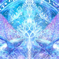 The Soul Whale Oracle Deck - Etsy