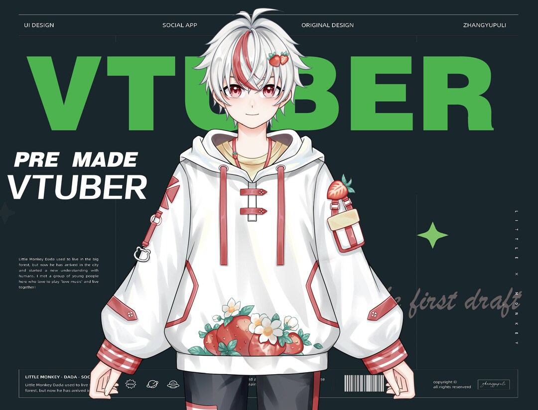 Modelo Vtuber personalizado / modelo live2d pré-fabricado / Design ...