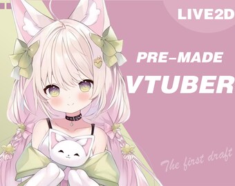 Custom Vtuber Model / Live2d Model Premade/ Vtuber Design / Vtuber Room/live2d Model /vtuber ...