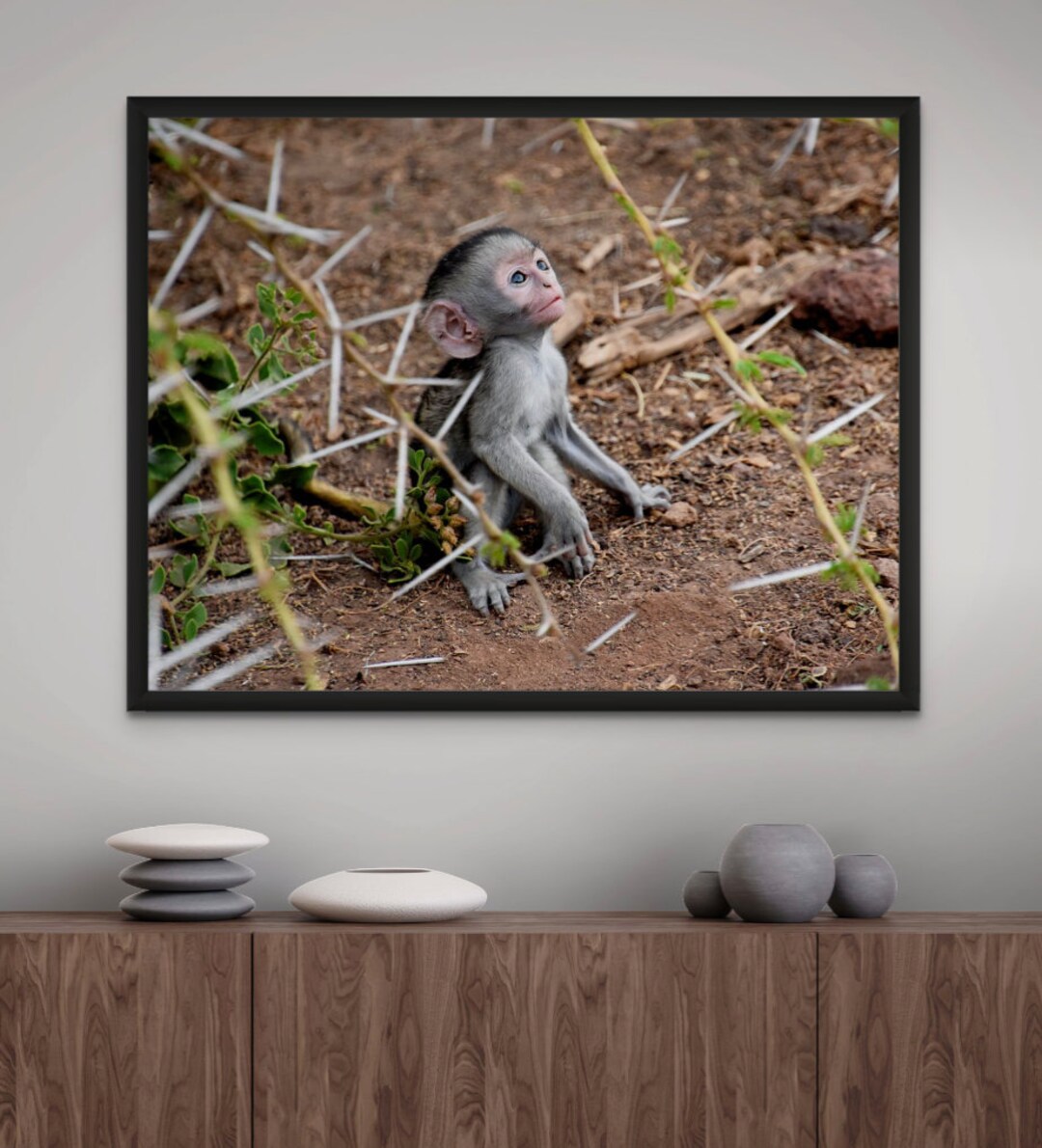 Baby Monkey Photo Print - Etsy