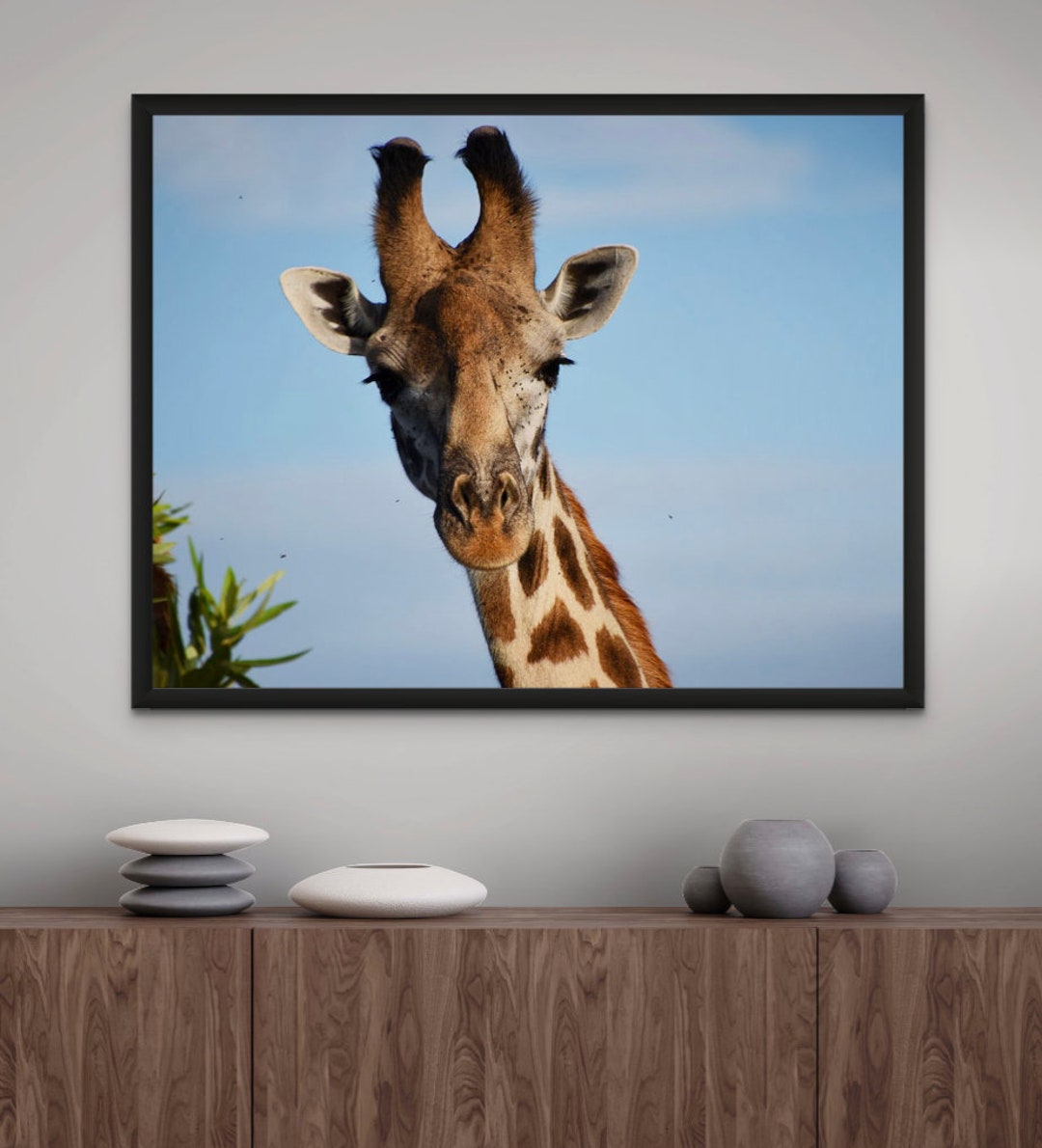 Giraffe Photo Print - Etsy