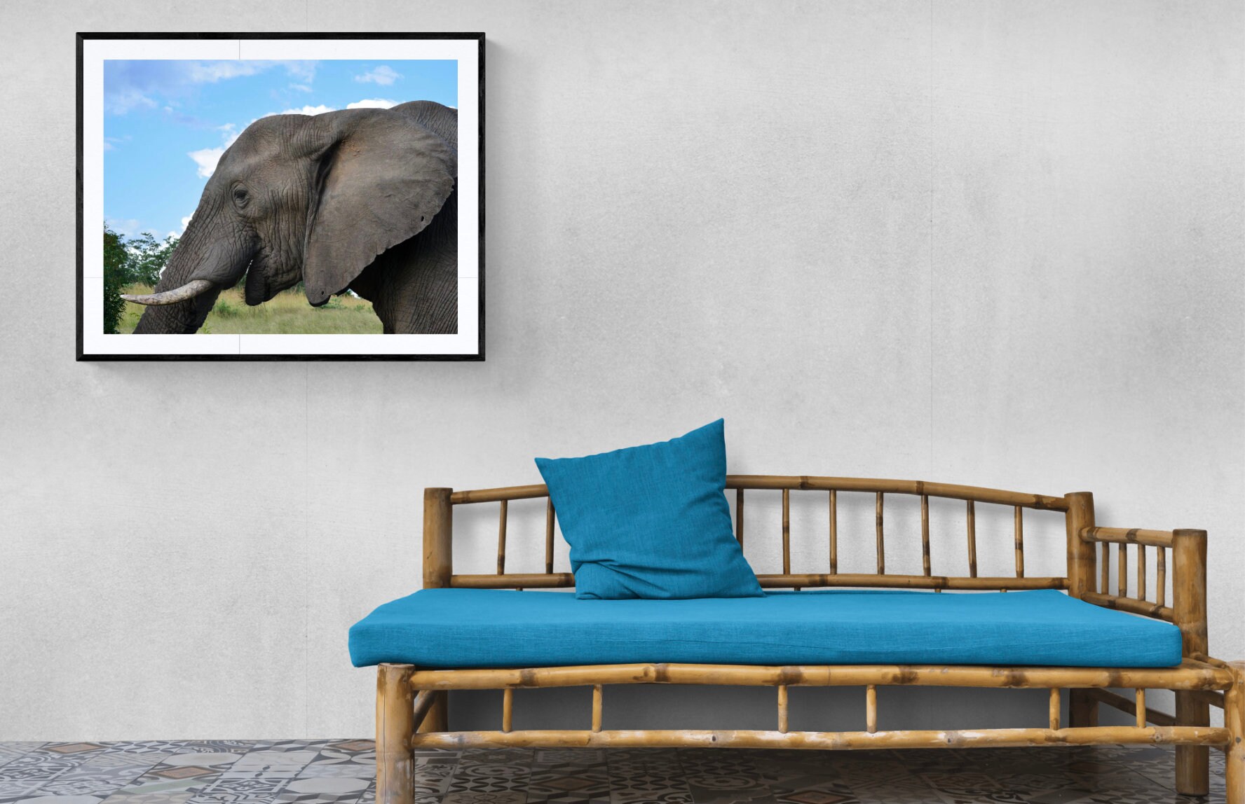 Smiling African Elephant Photo Print - Etsy