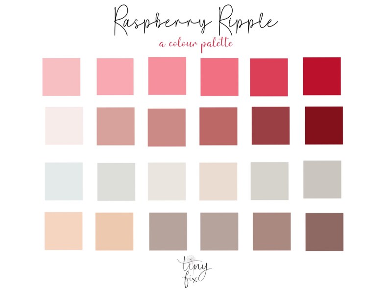 Procreate Colour Palette Raspberry Ripple - Etsy