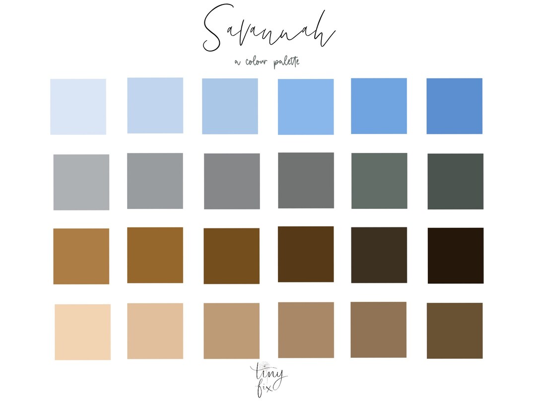 Procreate Colour Palette Savannah - Etsy