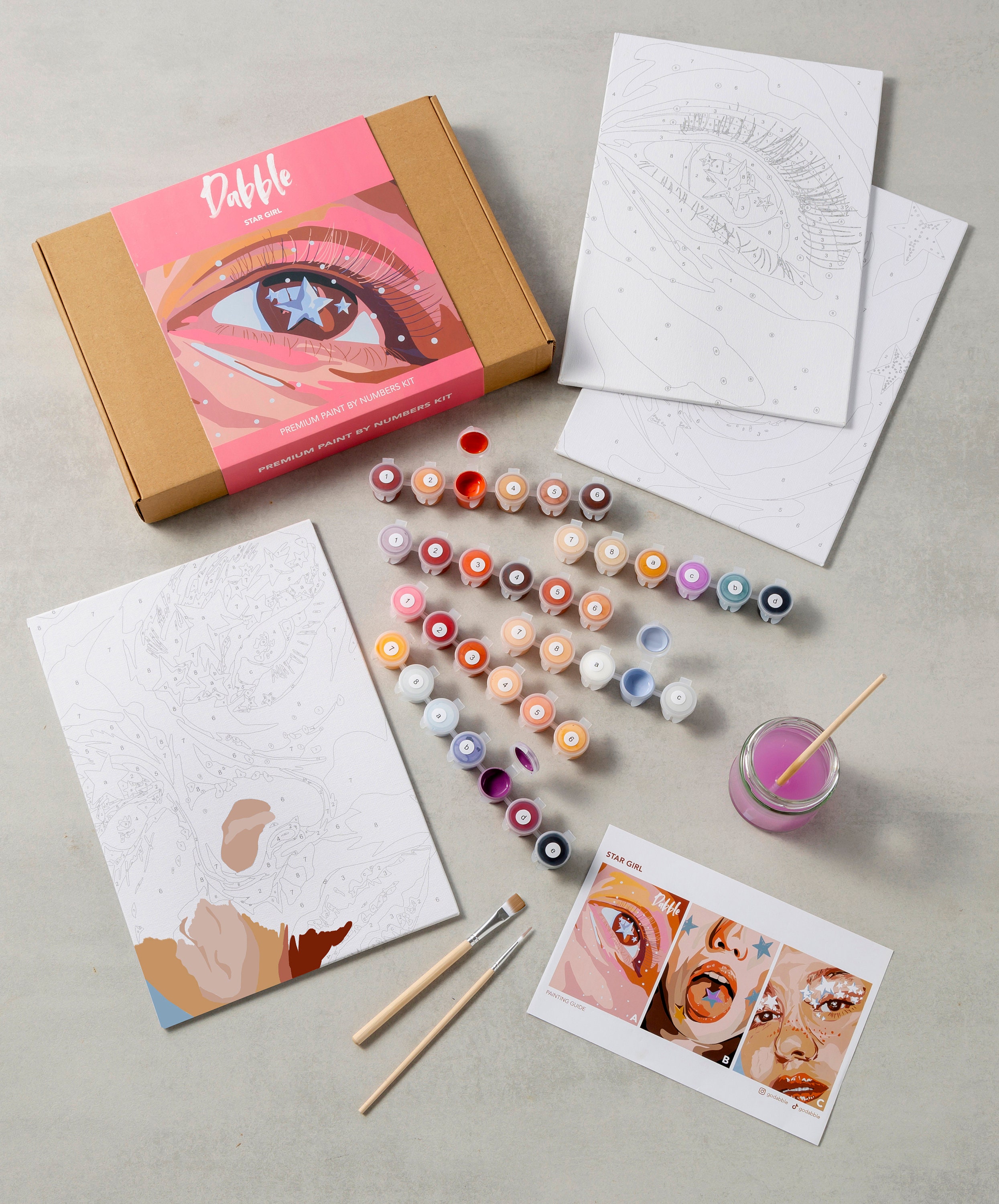 Dabble™ Premium Paint by Numbers Kit for Adults Beginners - Etsy UK