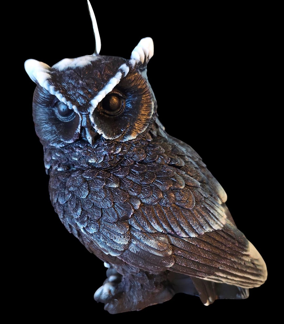 Owl/large Black and White Owl Candle/altar/ritual Candle/candle Magick ...