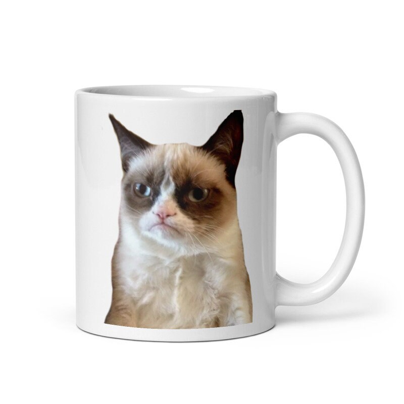 Grumpy Cat Nursing School