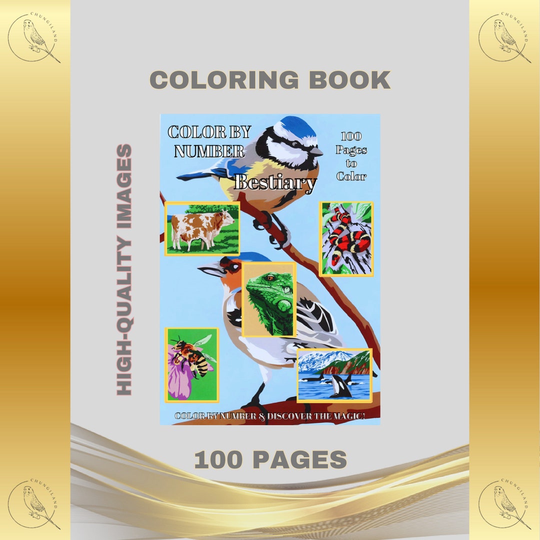 Color by Number 100 Pages to Color Printable PDF Instant Digital ...