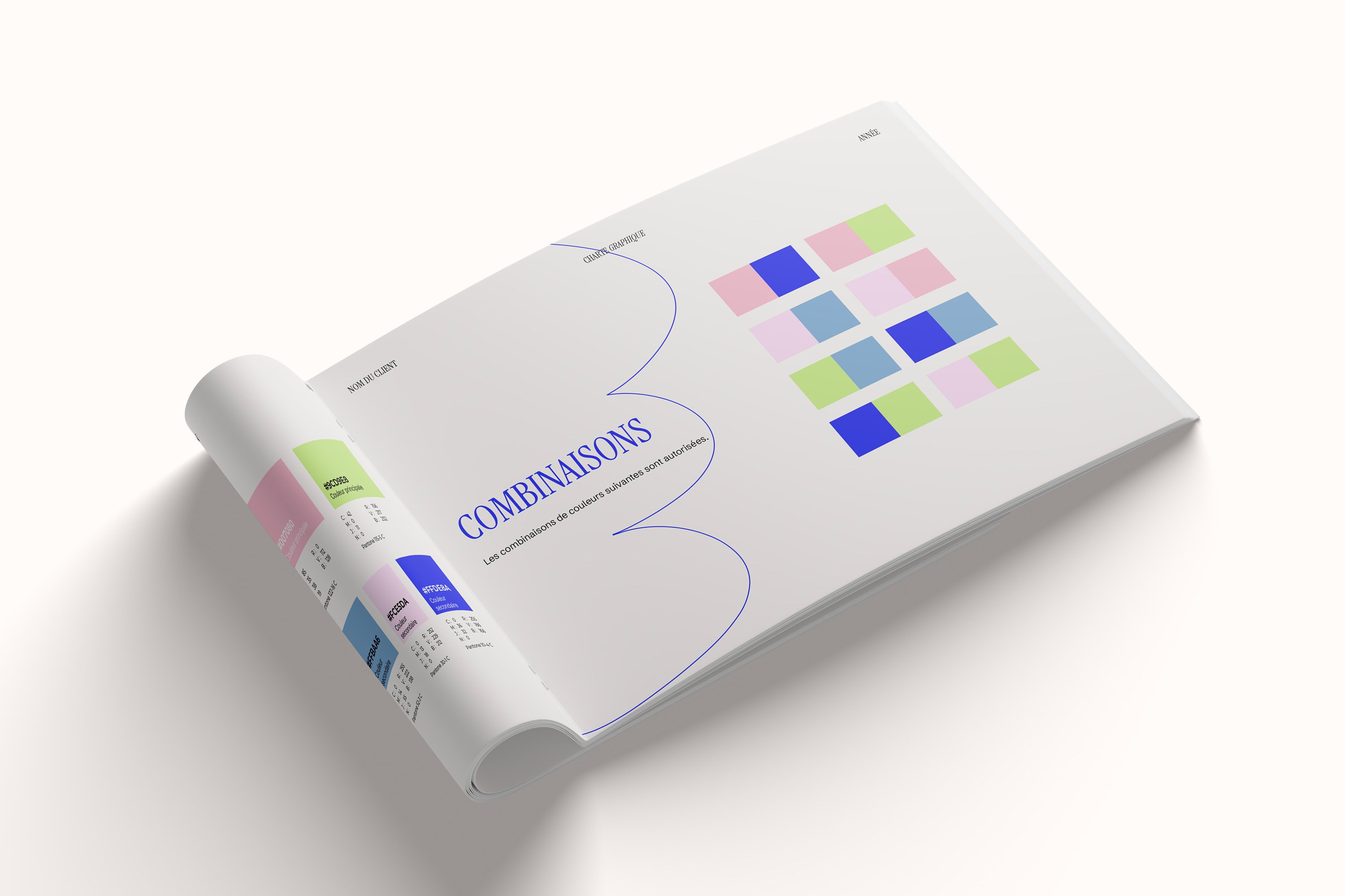 Charte Graphique - Template en Français - Modèle de guide de marque ...