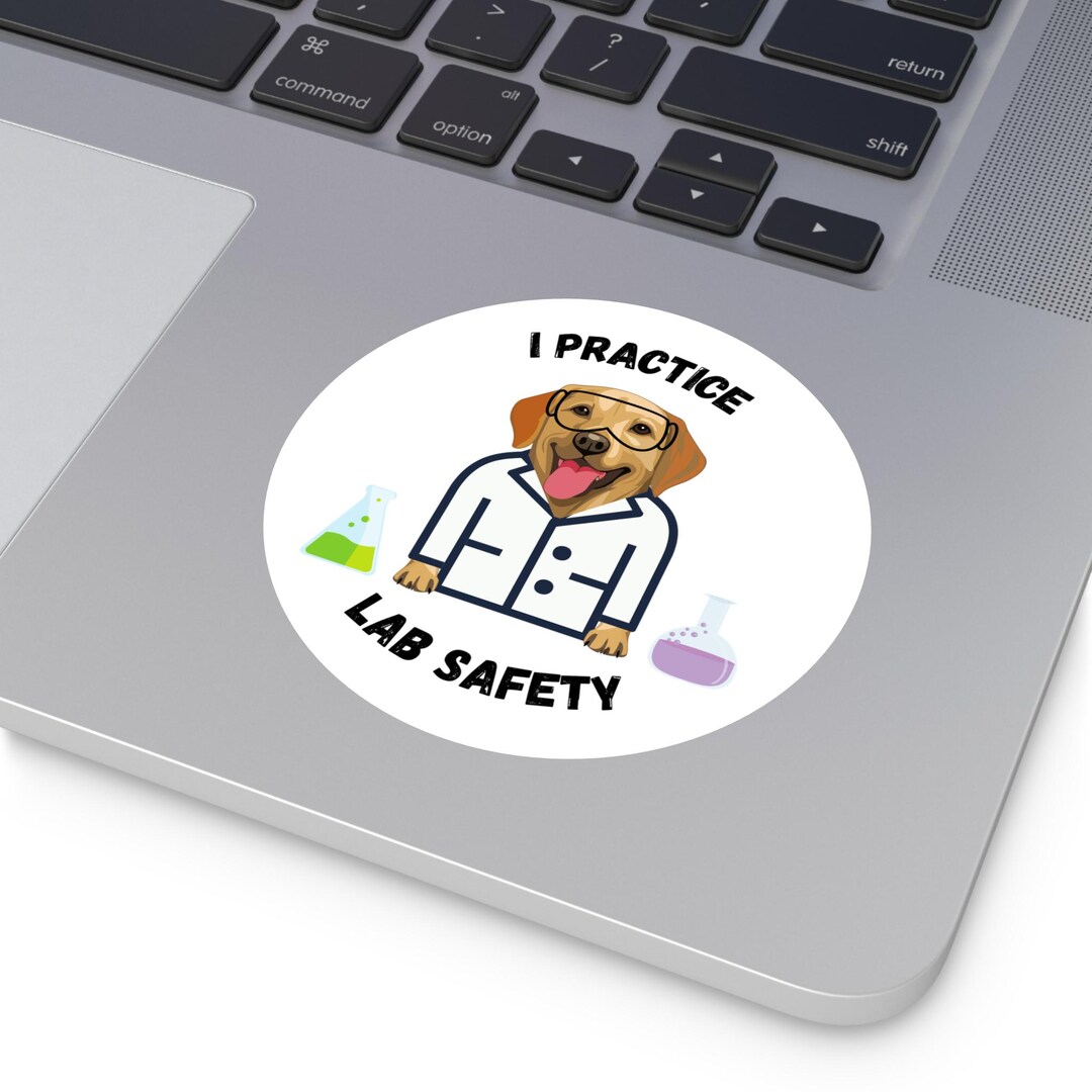 Funny Science Pun Sticker: Lab Safety Gift - Etsy Australia