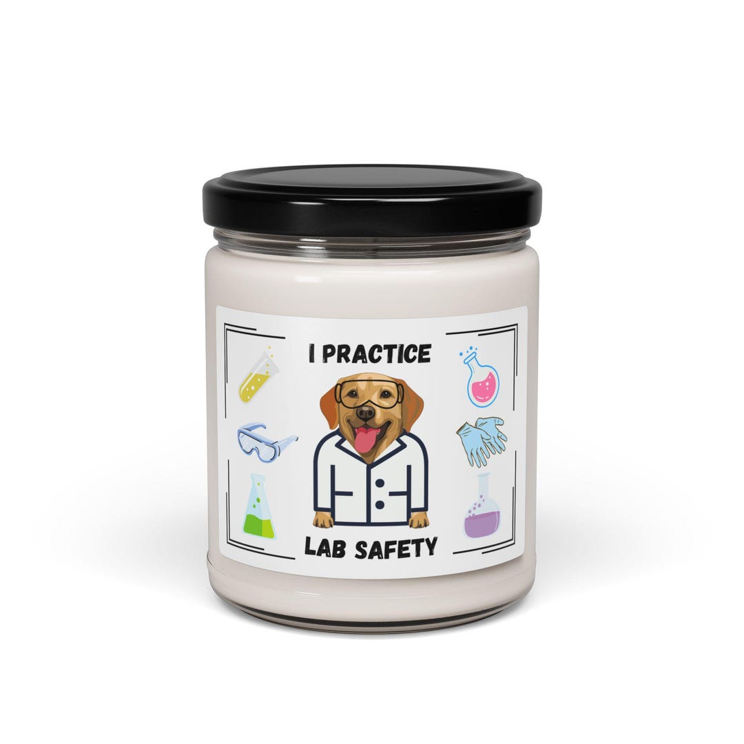 Science Pun Soy Candle: Lab Safety Gift for Teacher - Etsy