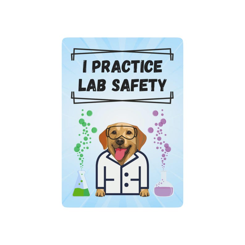 Playing Cards, Science Pun Laboratory Joke, I Practice Lab Safety ...