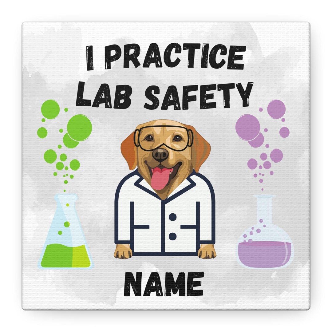 Funny Lab Safety Canvas Print: Science Pun Teacher Gift - Etsy