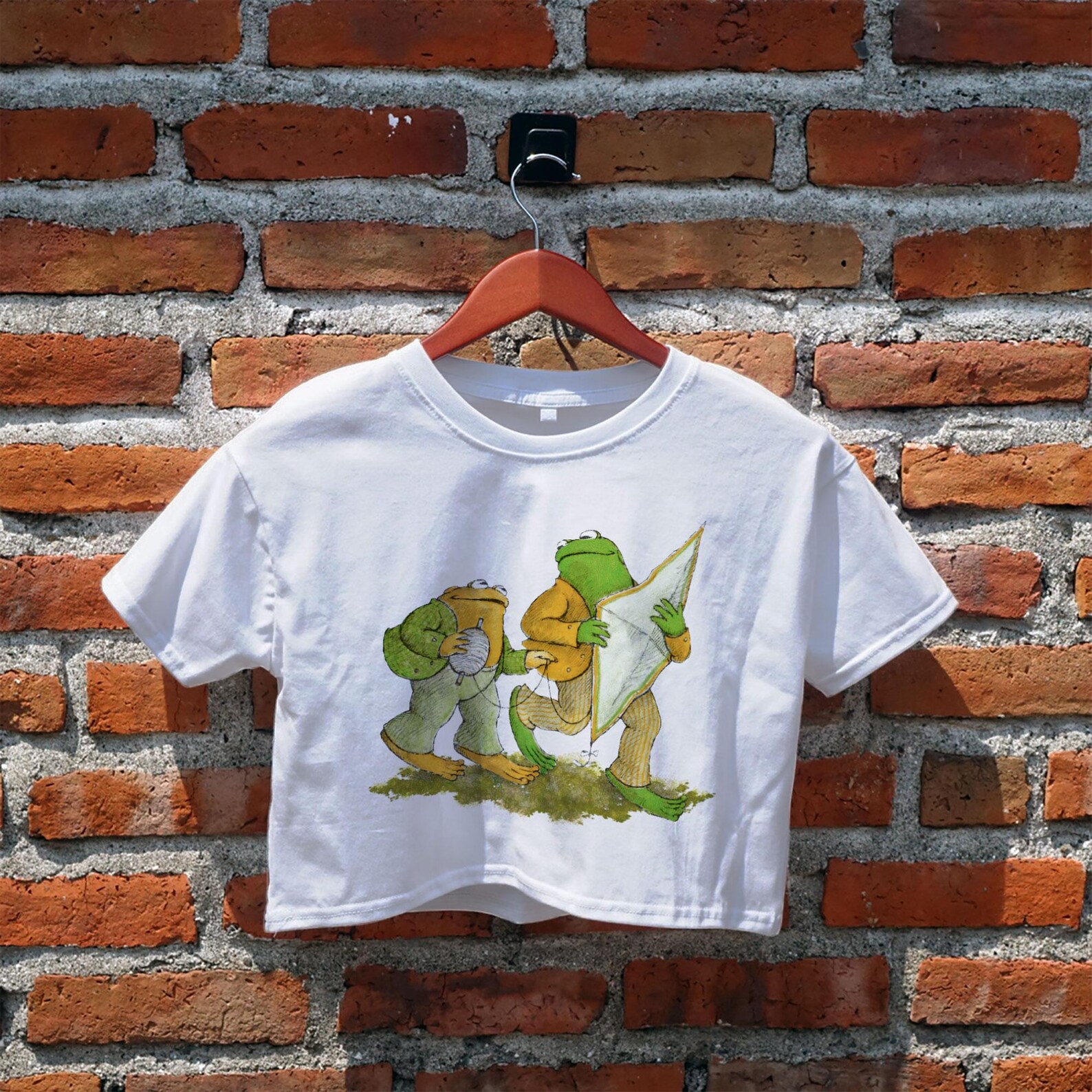 Frog and Toad Crop Top, Frog Toad Shirt, Frog Graphic Tees, Women's ...