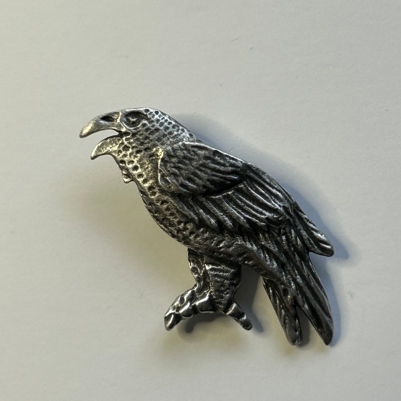 Raven Enamel Pin - Etsy