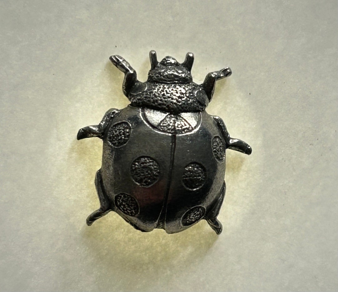 Ladybird Silver Pewter Pin Badge - Etsy