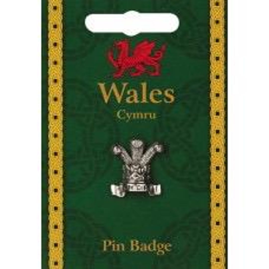 Prince of Wales Feathers Silver Pewter Pin Badge - Etsy