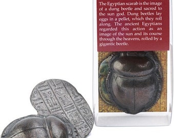 Rainbow Scarab Beetle Modern Day Fossils Preserved in - Etsy