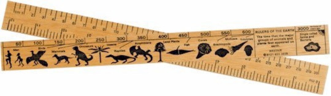 Natural History Wooden Timeline Ruler 30cm - Etsy