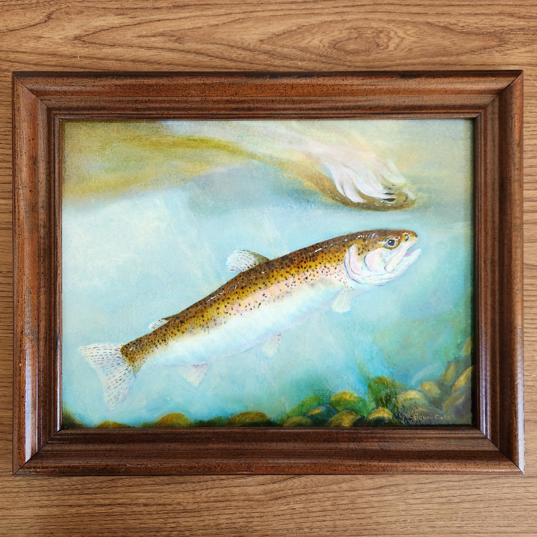 Rainbow Trout Wall Art, Trout Swimming Underwater With a Reflection of ...