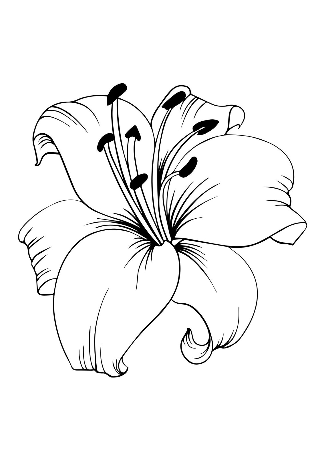 Flower Coloring Pages for Adults and Teens, 20 Pages, Instant Printable ...