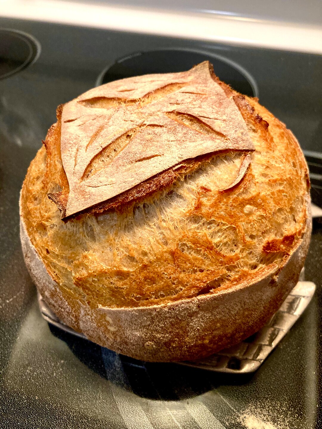 Bread Recipe, Sourdough Starter, Bread Starter, Mothers Day Gift, Dehydrated Sourdough Starter ...