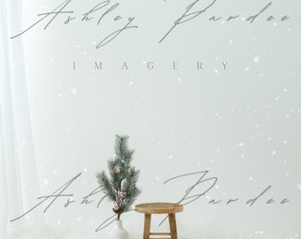 Snow White Digital Backdrop - Etsy