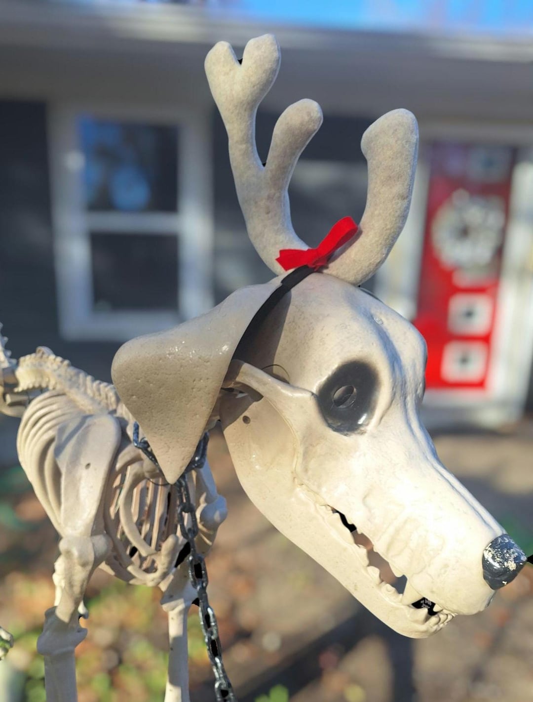 7ft Skelly Skeleton Home Depot Dog Bone Hat Costume - Etsy