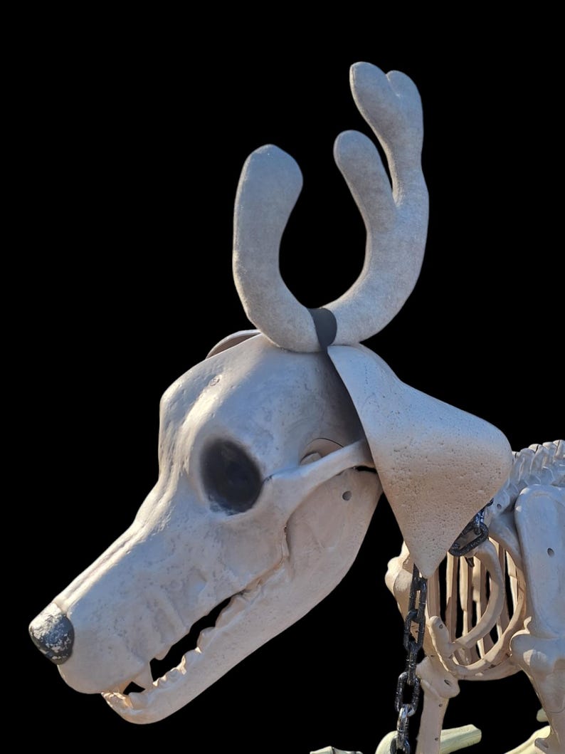 7ft Skelly Skeleton Home Depot Dog Bone Hat Costume - Etsy