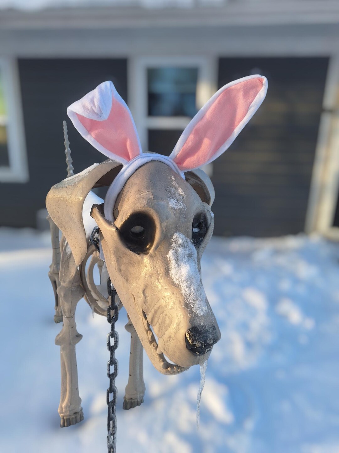 7ft Skelly Skeleton Home Depot Dog Easter Bunny Ears Hat Costume - Etsy