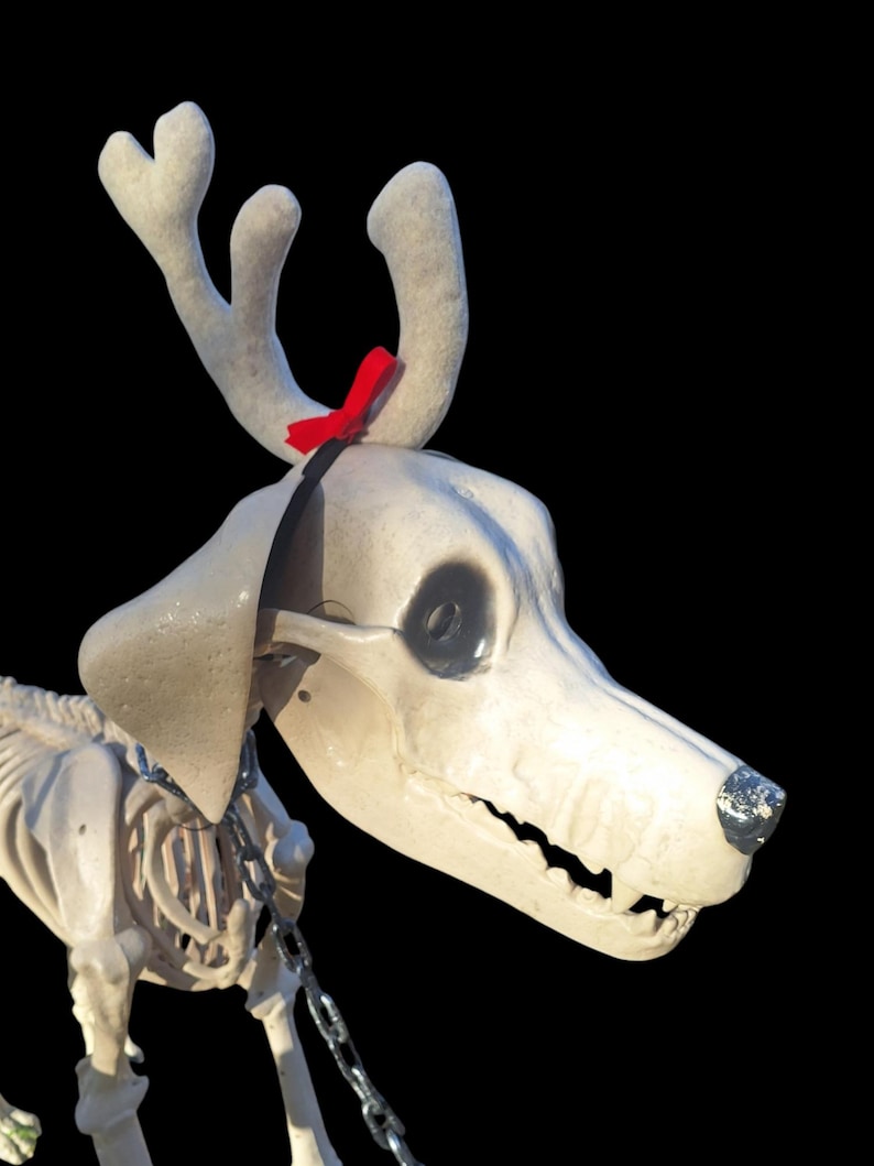 7ft Skelly Skeleton Home Depot Dog Bone Hat Costume - Etsy