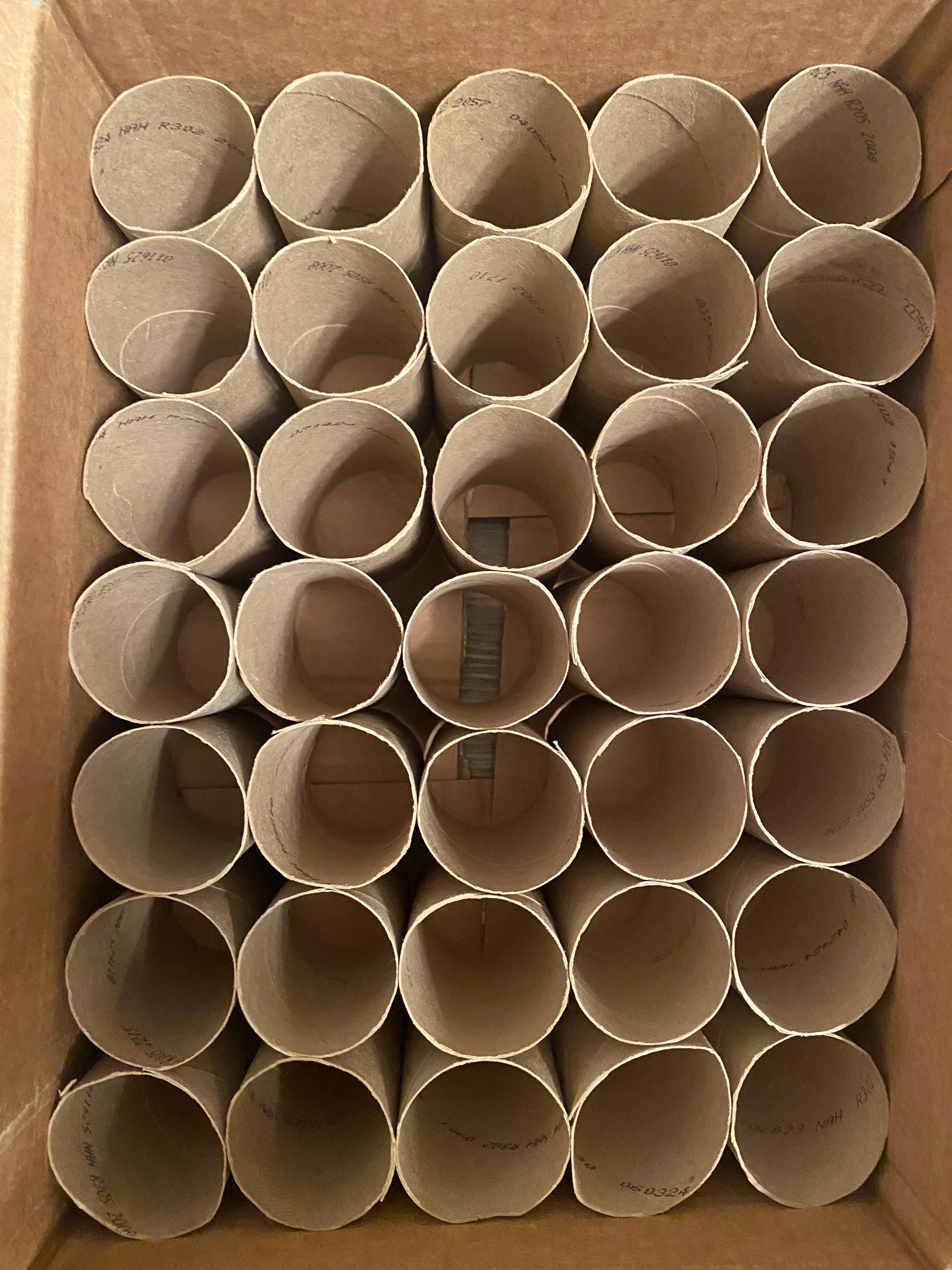Cardboard Tubes for Crafts, TP Rolls, Paper Towel Rolls, Art Supplies ...