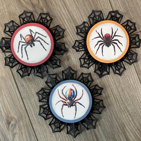 Paper Rosette - Etsy